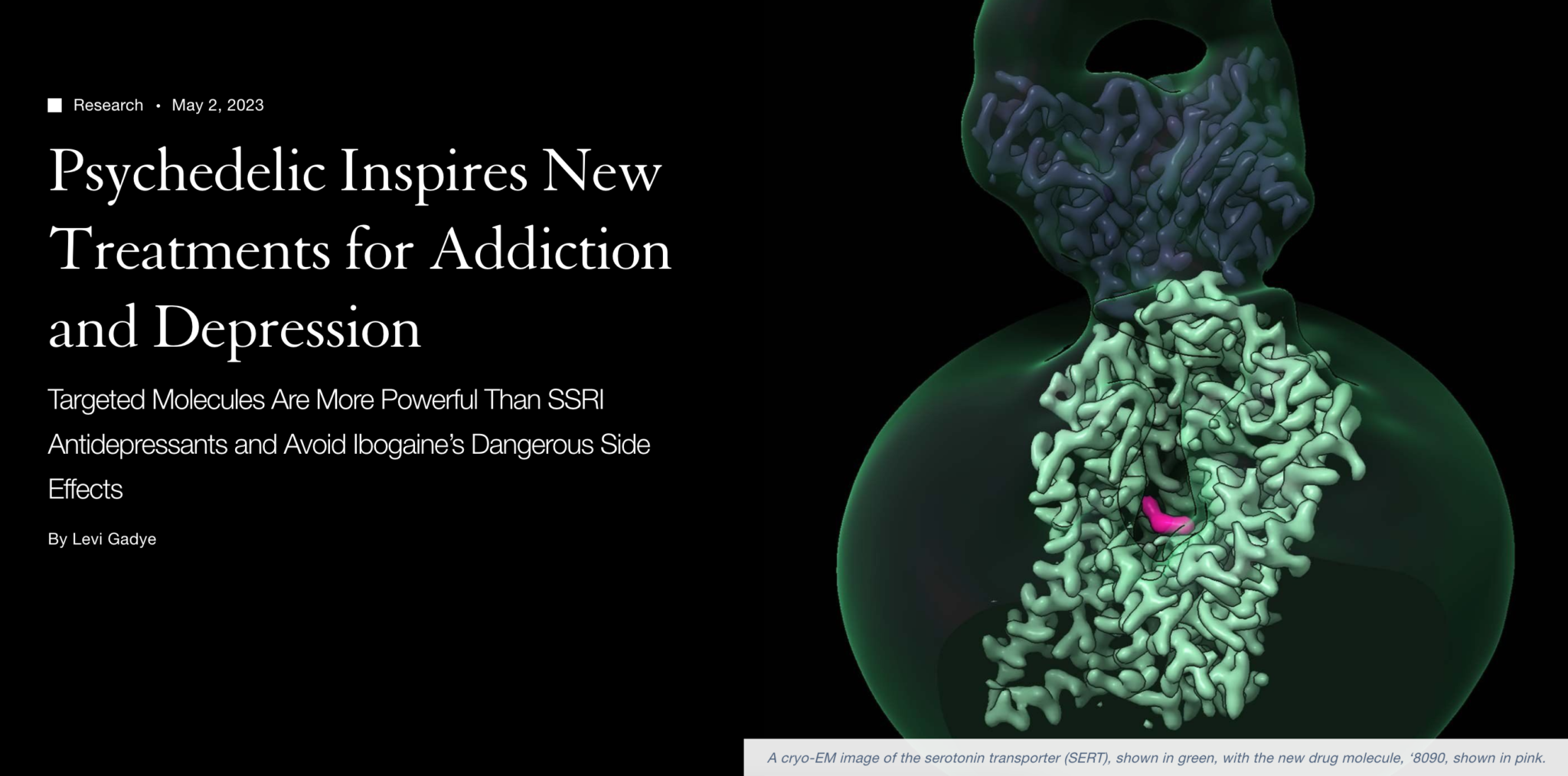 Ibogaine: What It Does to the Brain and How It Helps in Addiction ...